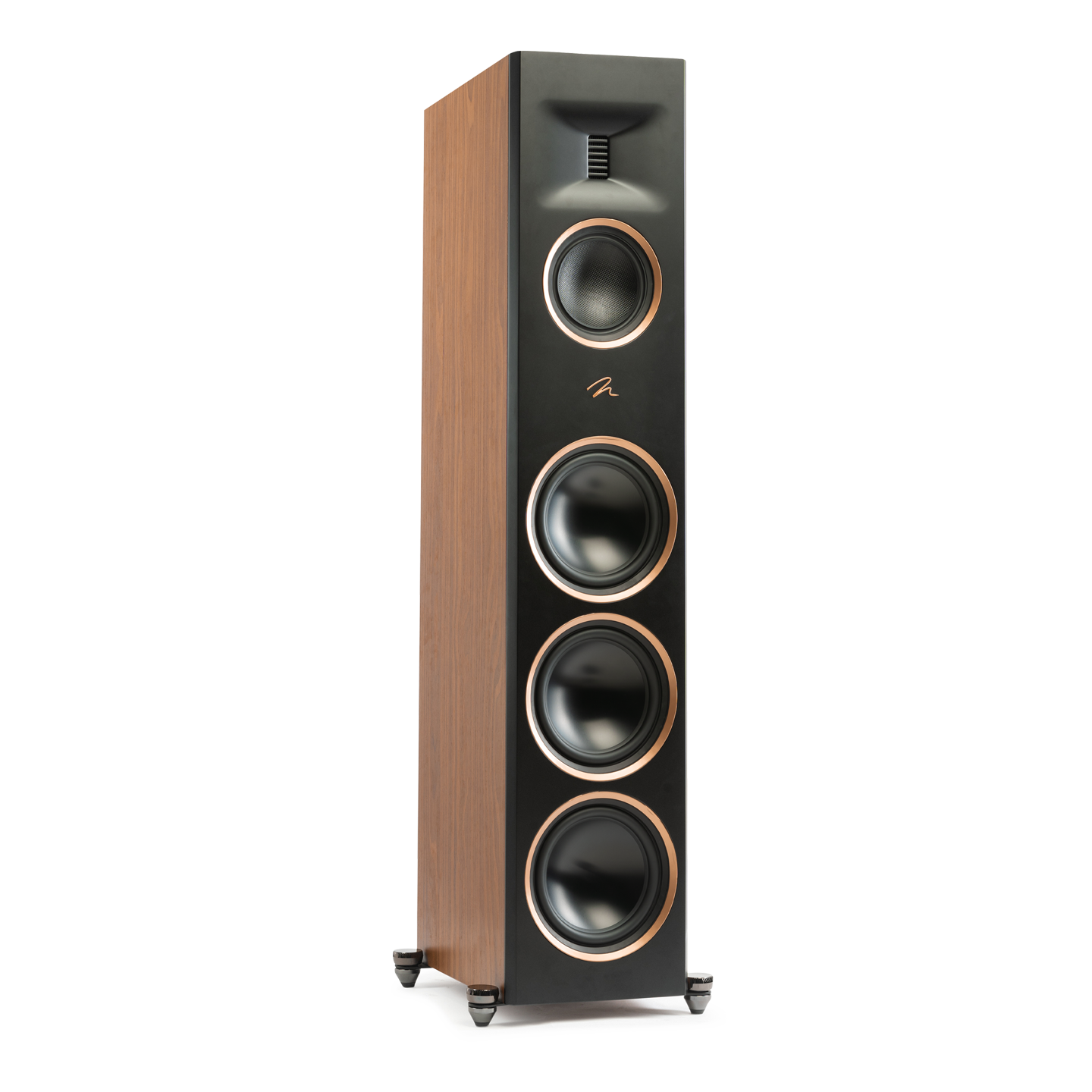 ML-Motion Series