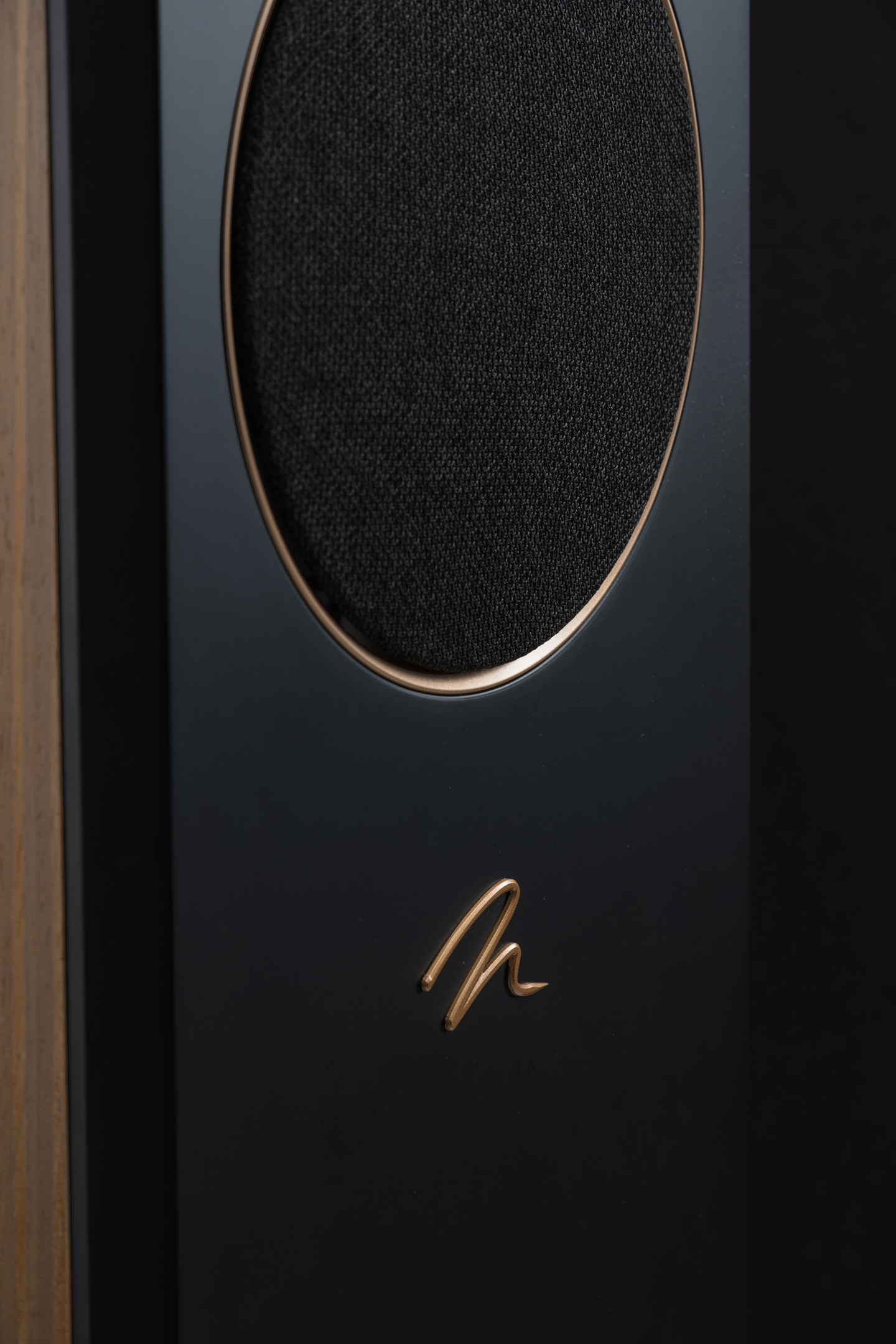 ML-Motion Series