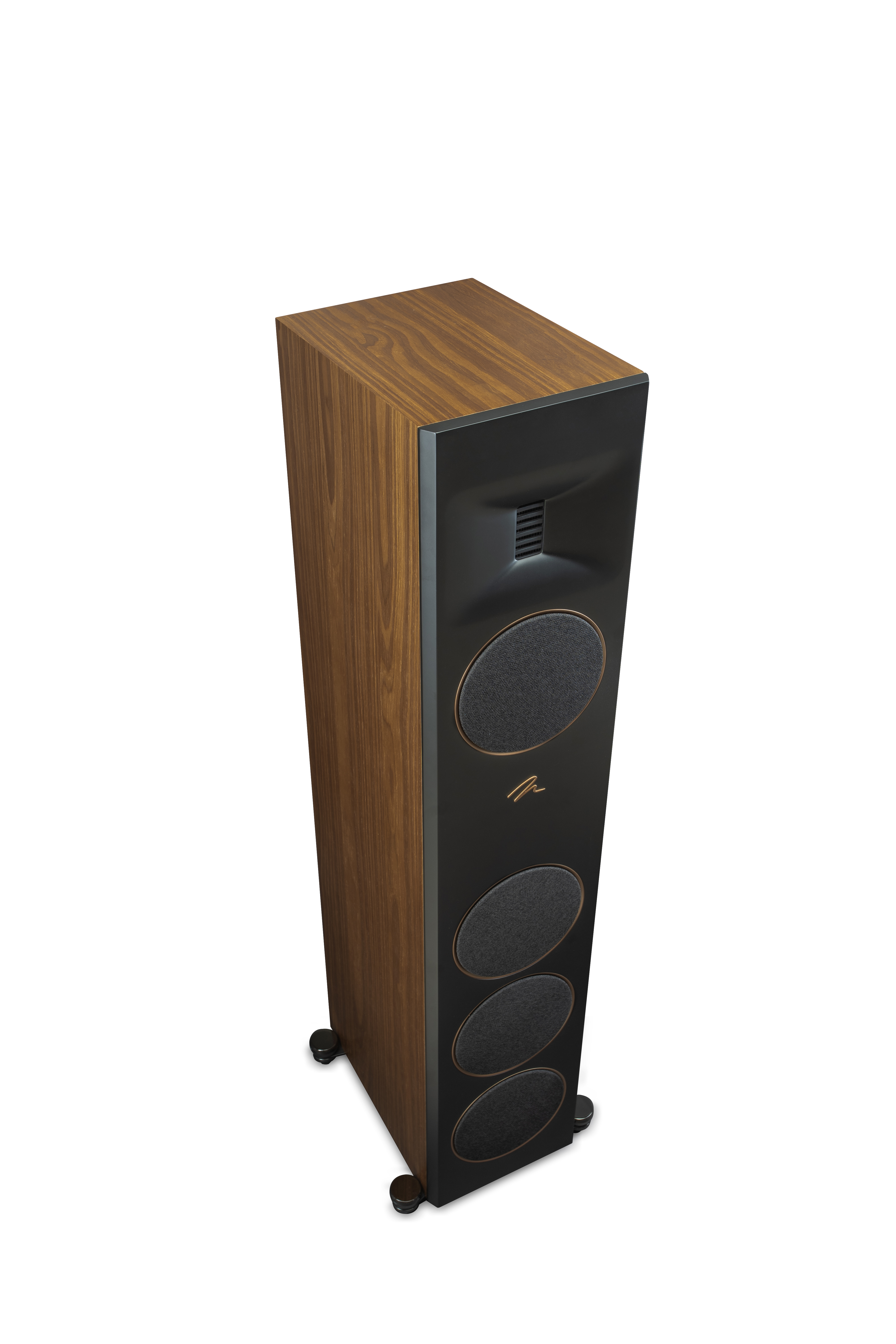 ML-Motion Series